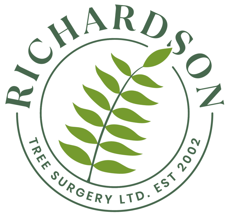Contact Us Richardson Tree Surgery contact-us-richardson-tree-surgery